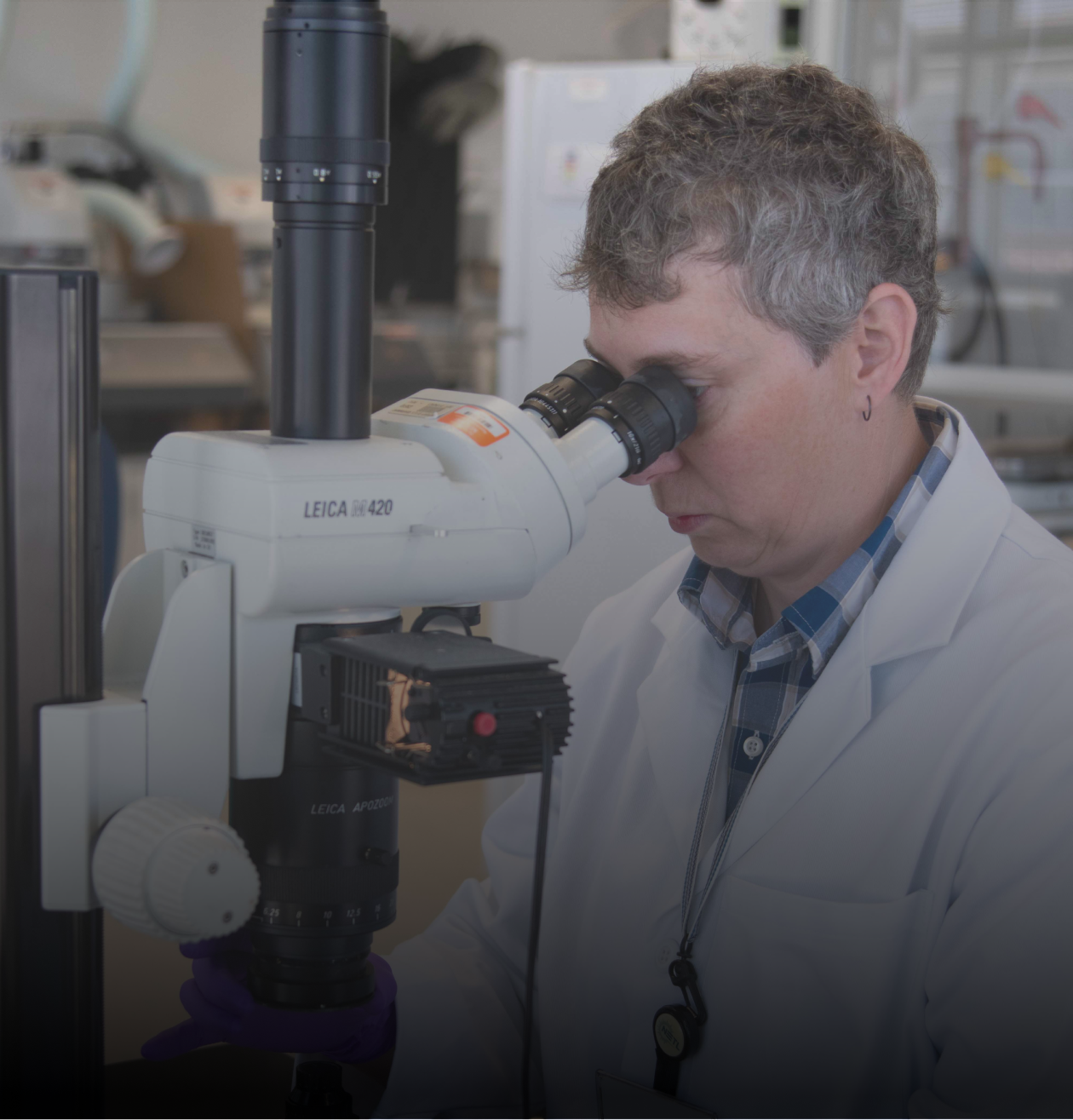 Workshop and Training - CACTUS